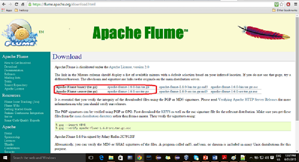 👉 Apache Flume - Medio ambiente - Tutoriales y Cursos Gratuitos